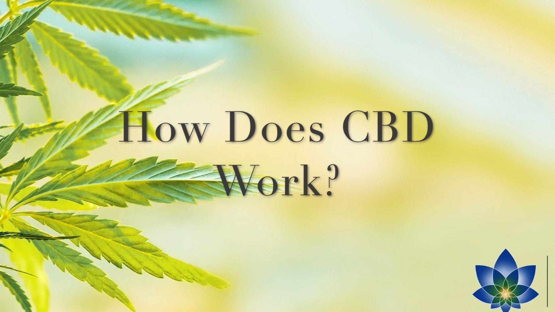 How Does CBD Work? – KC Hemp Co.®